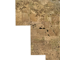 ArcGIS Web Application